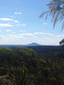 Staff Profile: Jonathan Captain-Webb - NSW Aboriginal Land Council
