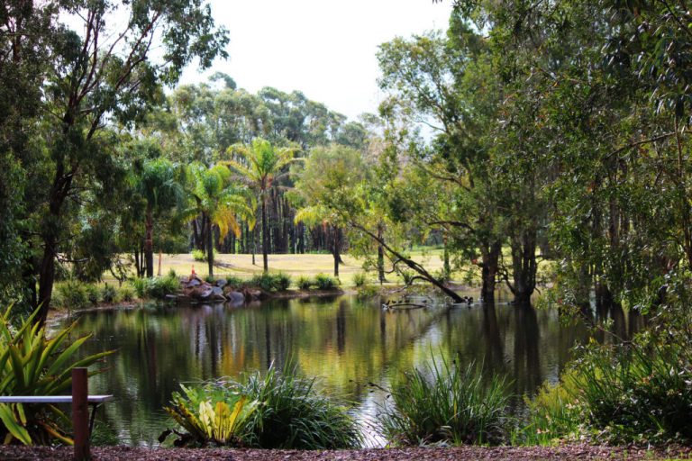 Big NAIDOC Celebrations on Worimi Country - NSW Aboriginal Land Council